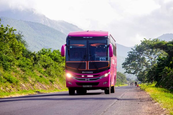 Super Feo Express Bus Tanzania Official Contact and Offices - Maasai ...